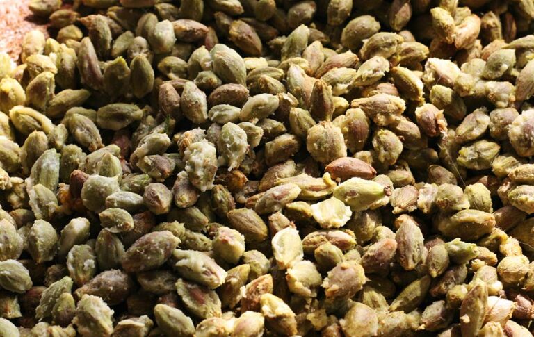 Planting Process of Mukau Trees - Part 1 - Trees4CO2